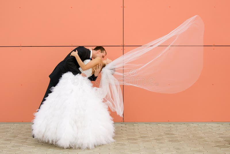Dance of newly wedded stock image. Image of family, bride - 8620907