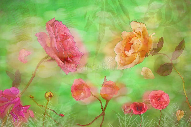 Dance of the Roses - a Creative Edit Stock Image - Image of blur, green ...