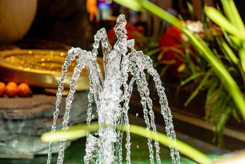 The Dance of Spring Water in the Jungle. Stock Photo - Image of curry ...