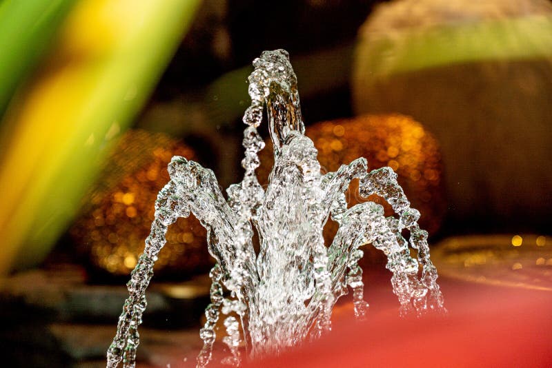 The Dance of Spring Water in the Jungle. Stock Photo - Image of produce ...