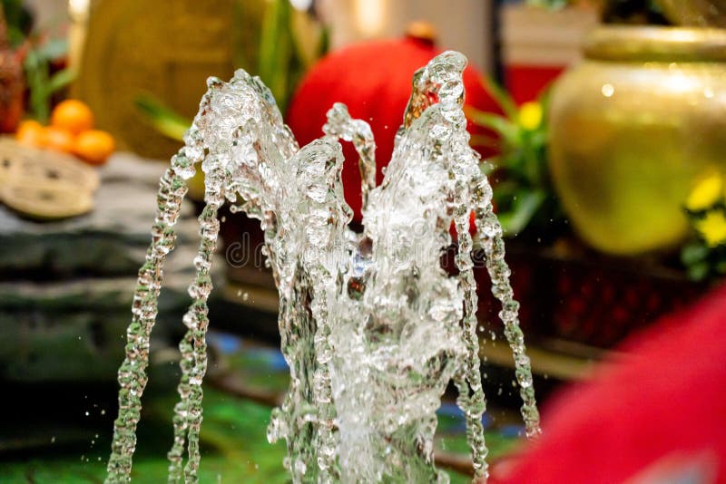 The Dance of Spring Water in the Jungle. Stock Image - Image of meal ...