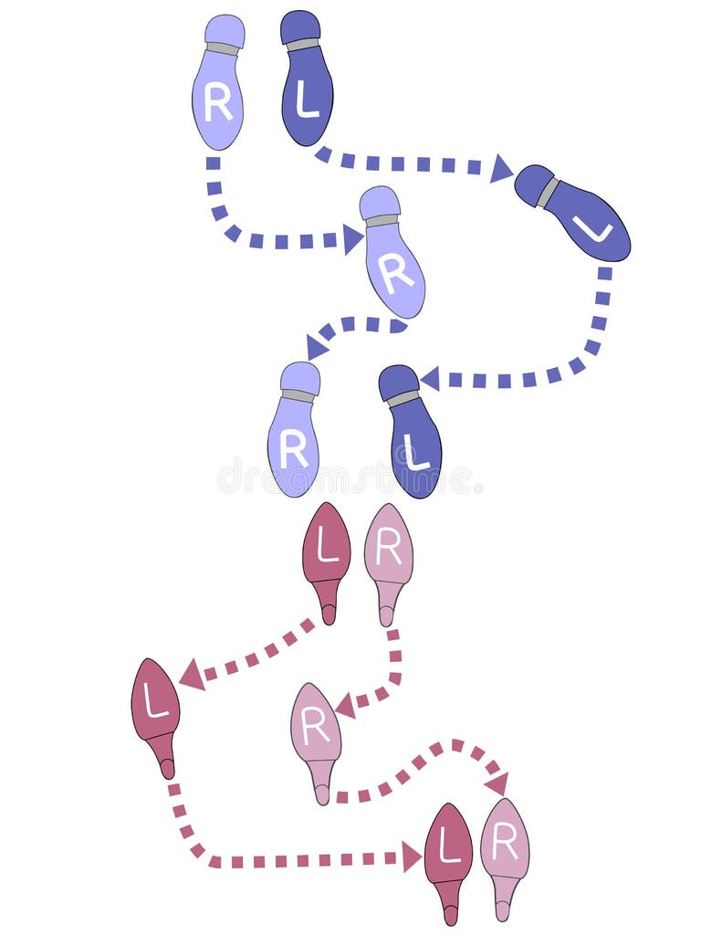 Dance Steps Instructions Illustration Stock Illustrations – 14 Dance ...