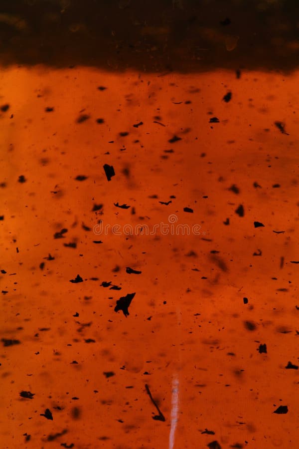 Dance of tea leaves stock image. Image of soil, circle - 223018349