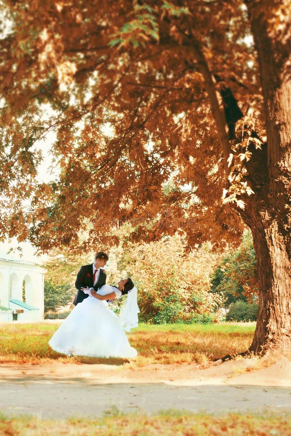 Dance Under the Autumn Tree Stock Photo - Image of elegance, bride ...