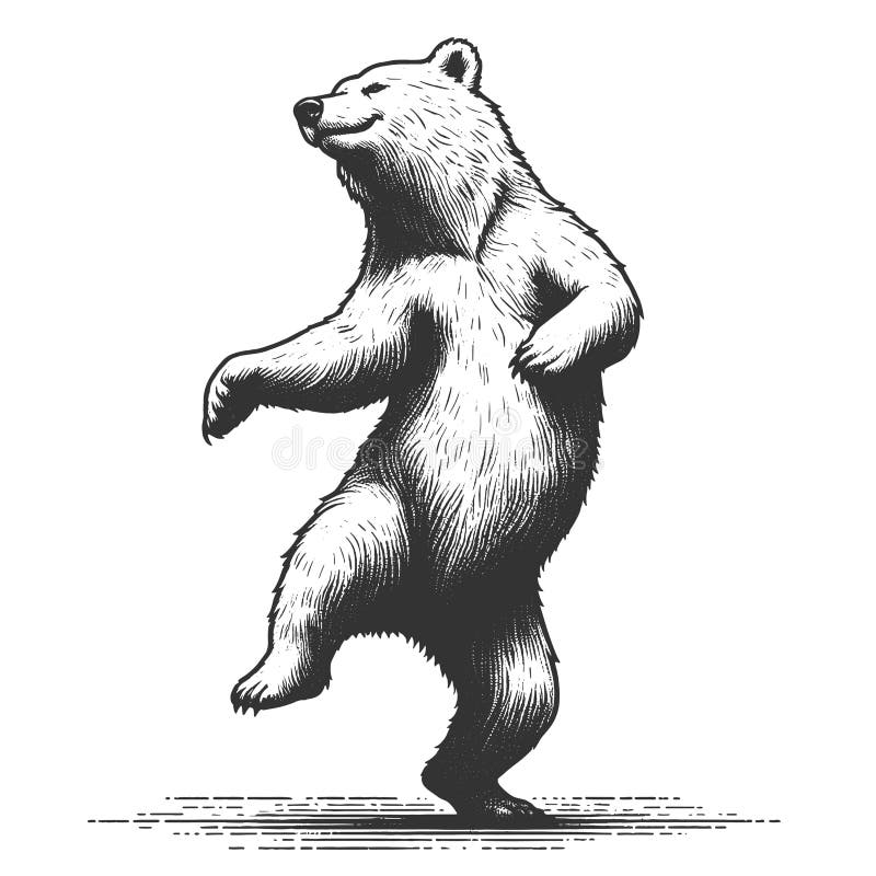 Dancing Bear Pointing Direction Engraving Vector Stock Vector