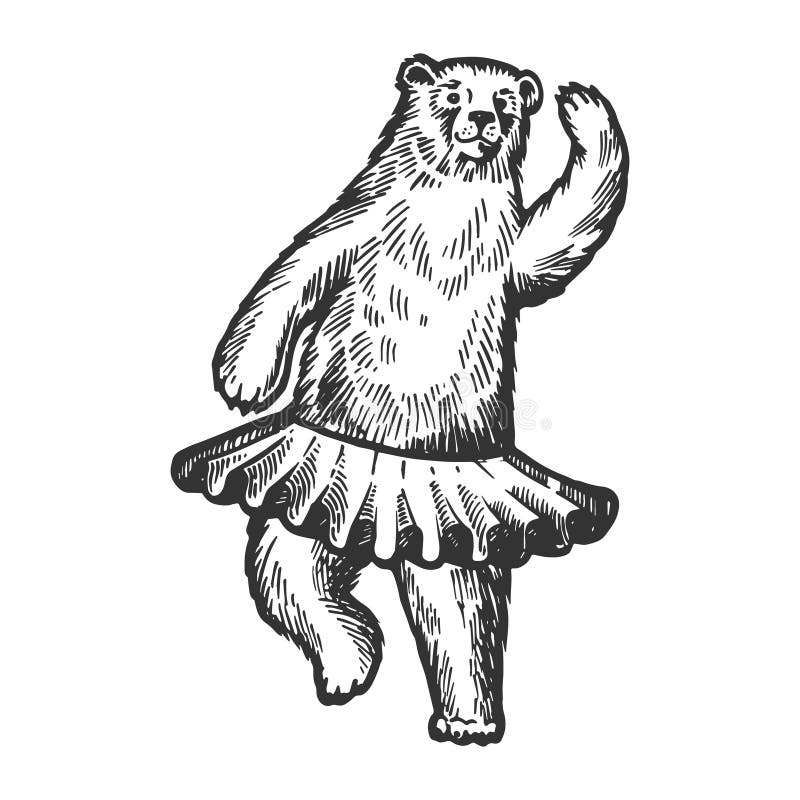 Dancing Black Bear Stock Illustration Illustration Of Background