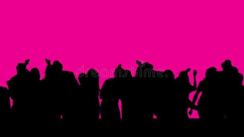 Dancing Crowd on Pink Chroma Key Screen Stock Video - Video of space ...