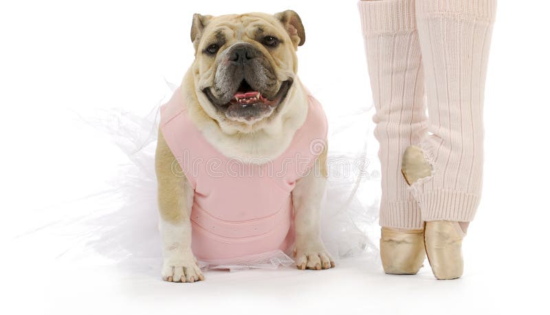 714 Dog Dancer Stock Photos - Free & Royalty-Free Stock Photos from ...