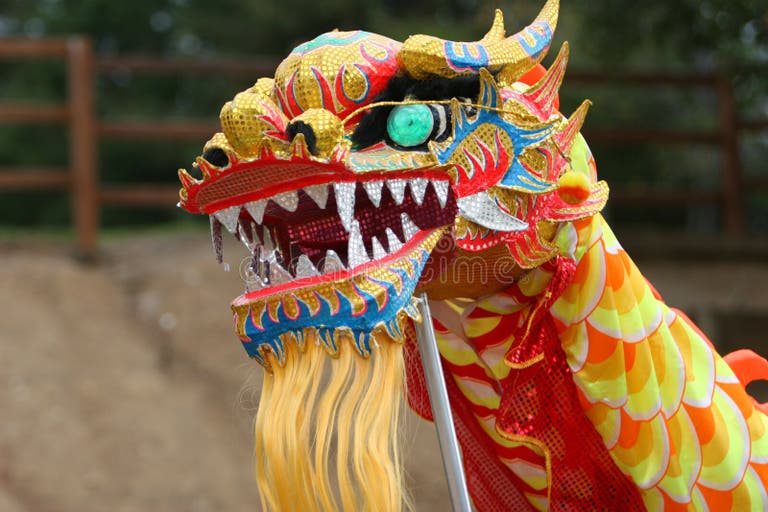 Dancing Dragon stock photo. Image of dragon, diversity - 1912454