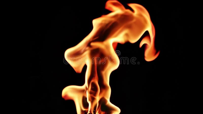 Dancing Flame Against Black Background, Abstract Shape. Art and Motion Concept Stock Footage ...