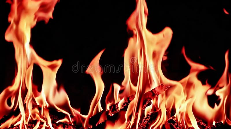 Dancing Flames with Glowing Embers, Dramatic Fire Concept Stock Video ...