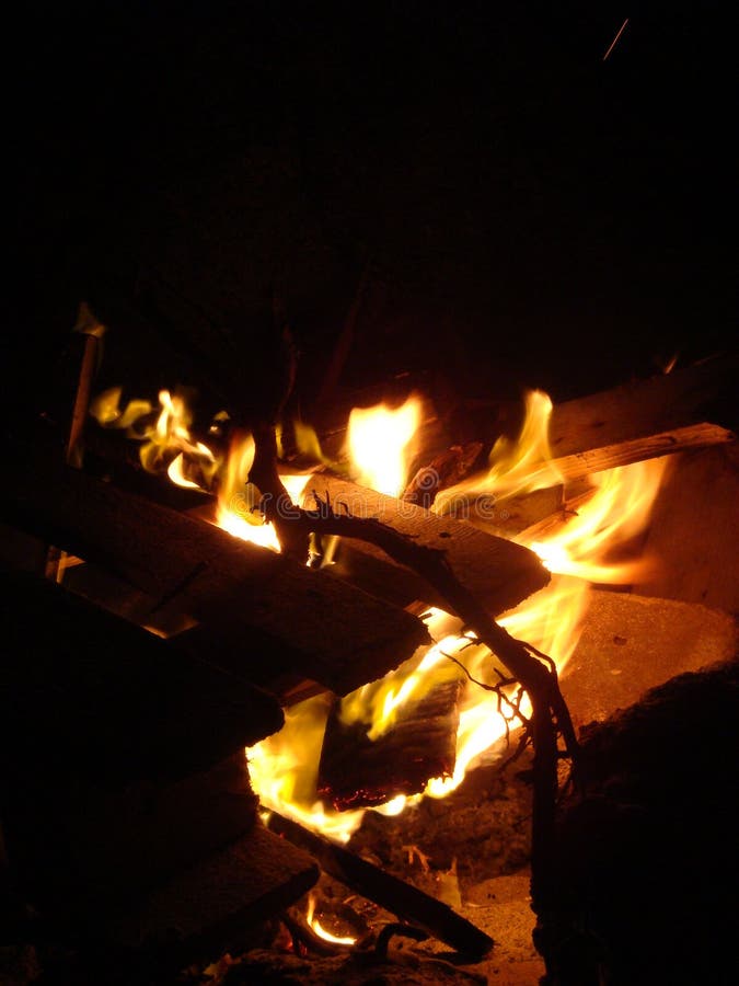 Dancing Flames from Small Fire Shooting by Night Amazing View Stock ...