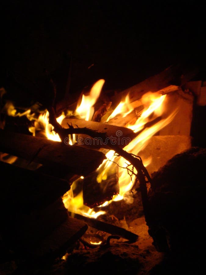 Dancing Flames from Small Fire Shooting by Night Amazing View Stock ...