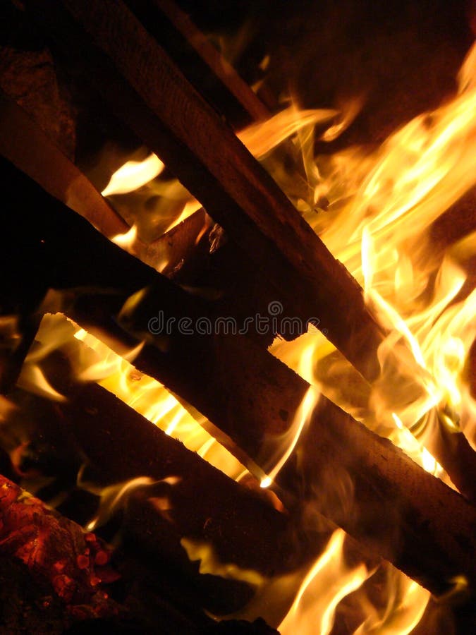 Dancing Flames from Small Fire Shooting by Night Amazing View Stock ...