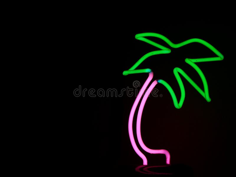 Neon Sign with Palm Tree and Flamingo Stock Image - Image of sign ...