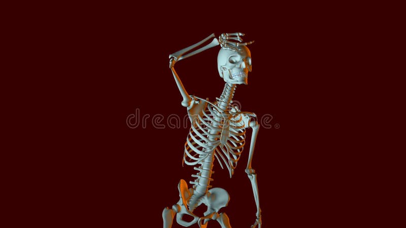 Dancing Skeleton 3D. 3D Skeleton Dance Animation. Skeleton 3D Dance ...