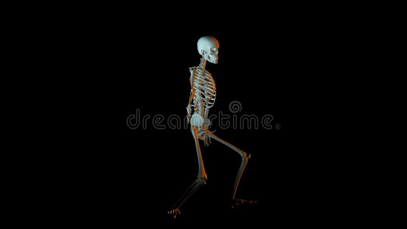 Skeleton Dancing - Halloween Concept Stock Footage - Video of ortho ...