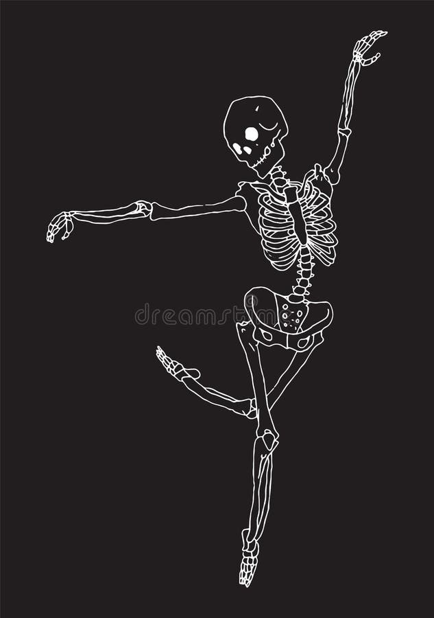Skeleton Ballerina Isolated. Skull and Bones Ballet Stock Vector ...
