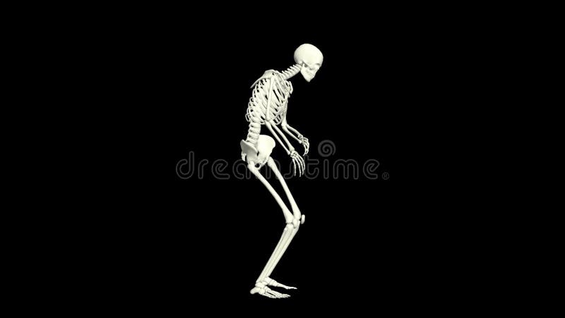 Dancing Skeleton 3D. 3D Skeleton Dance Animation. Skeleton 3D Dance ...