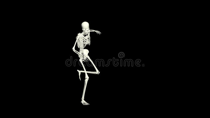 Dancing Skeleton 3D. stock video. Video of freak, thriller - 245966295