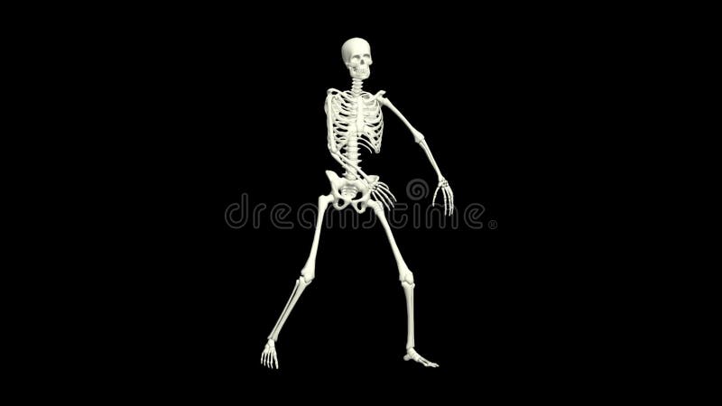 Dancing Skeleton 3D. stock footage. Video of crazy, death - 245966796