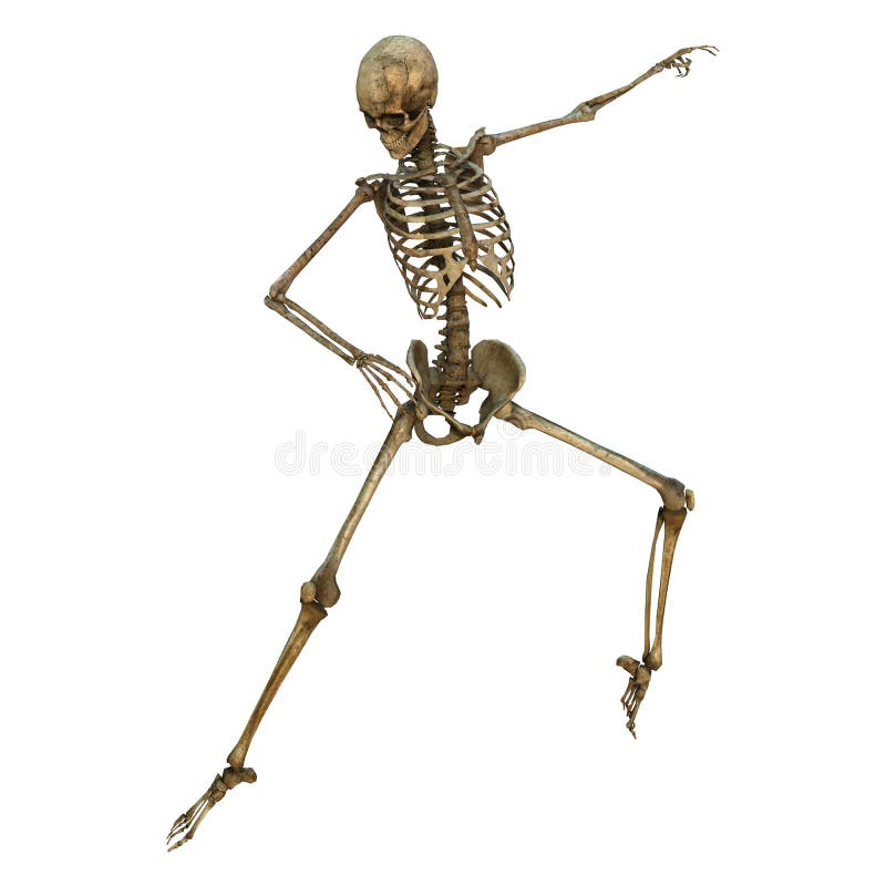 Human Skeleton Dancing Stock Illustrations – 560 Human Skeleton Dancing ...