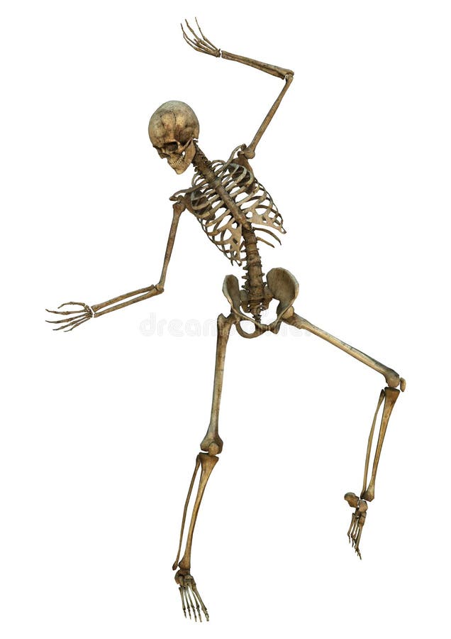 Dancing Bones Stock Illustrations – 1,003 Dancing Bones Stock ...