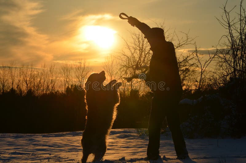 Dancing in the snow stock photo. Image of pups, happy - 66269800