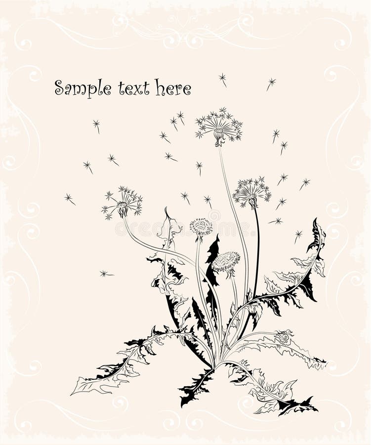 The Field Dandelion Sketch with Flying Seeds. Stock Vector ...
