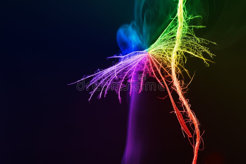 Dandelion stock photo. Image of filament, close, dandelion - 16977676