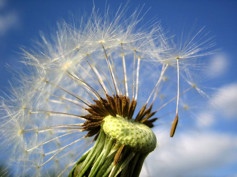 Supernova stock illustration. Illustration of light, star - 840573