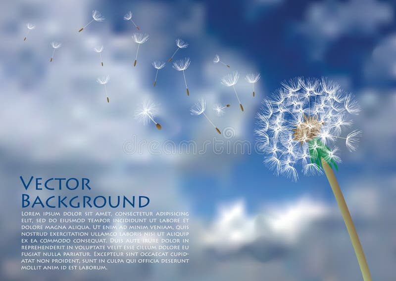 Dandelion fly stock vector. Illustration of nature, biology - 20362784