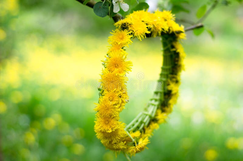 Dandelion chain stock image. Image of springtime, spring - 54038799