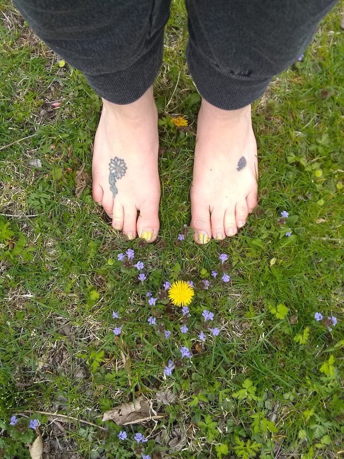 Dandelion Feet stock image. Image of purple, flower - 217420063