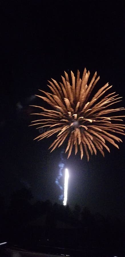 Dandelion on Fire stock image. Image of fireworks, fire - 161495269