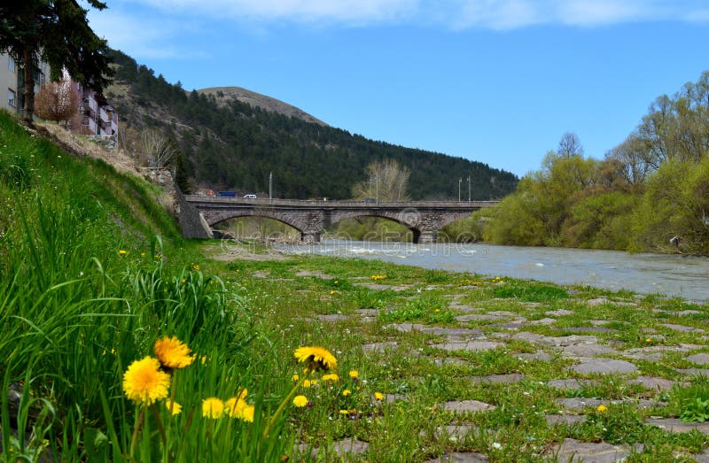 Dandelion Flower and Stone Bridge Stock Photo - Image of spring, hill ...