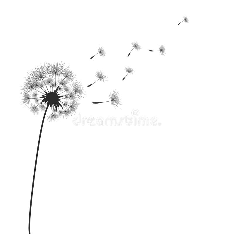 Flying dandelion flowers stock vector. Illustration of summer - 279703575