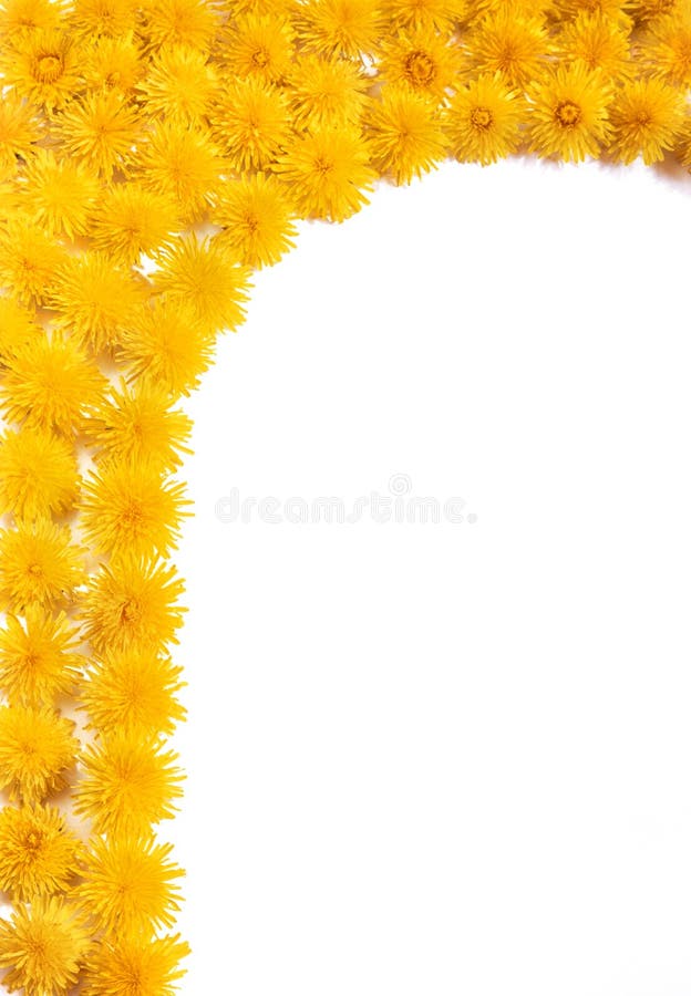 Dandelion - frame stock photo. Image of formation, blossom - 7563806