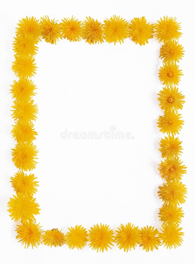 Dandelion - frame stock image. Image of closeup, botanical - 7673141