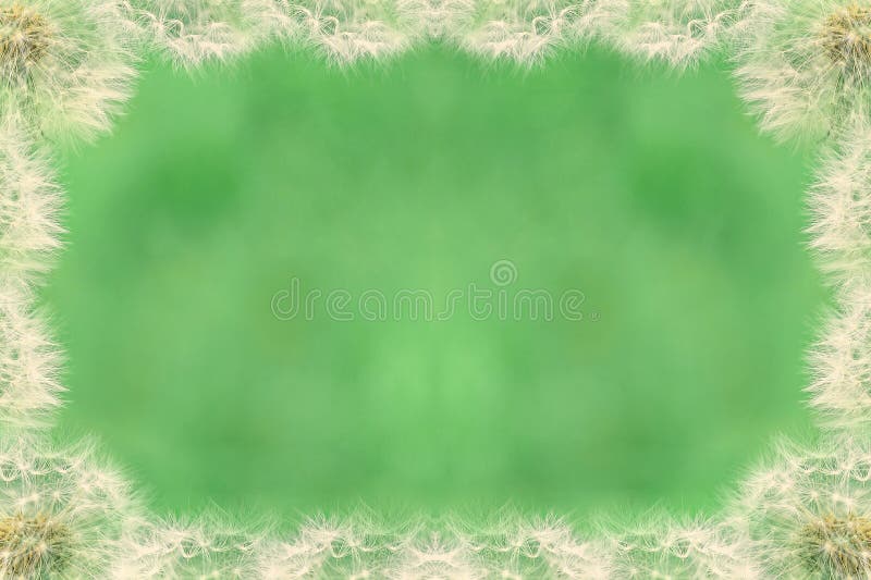 Dandelion Frame Graphic Design, Ver.7 Stock Illustration - Illustration ...