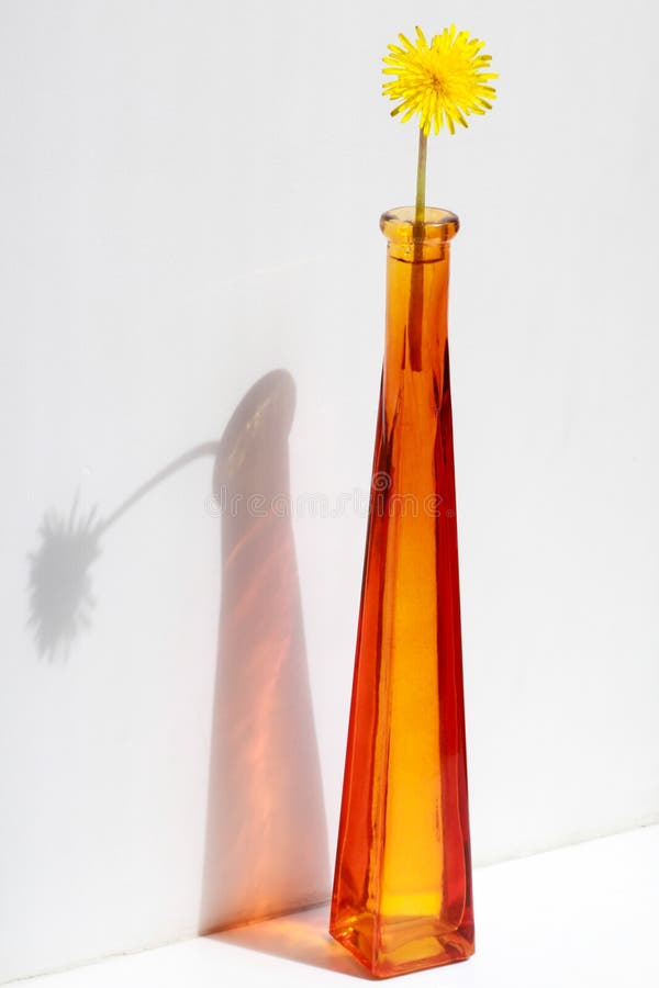 Dandelion in a Glass Vase. Wild Flower in Vase. Stock Image - Image of ...