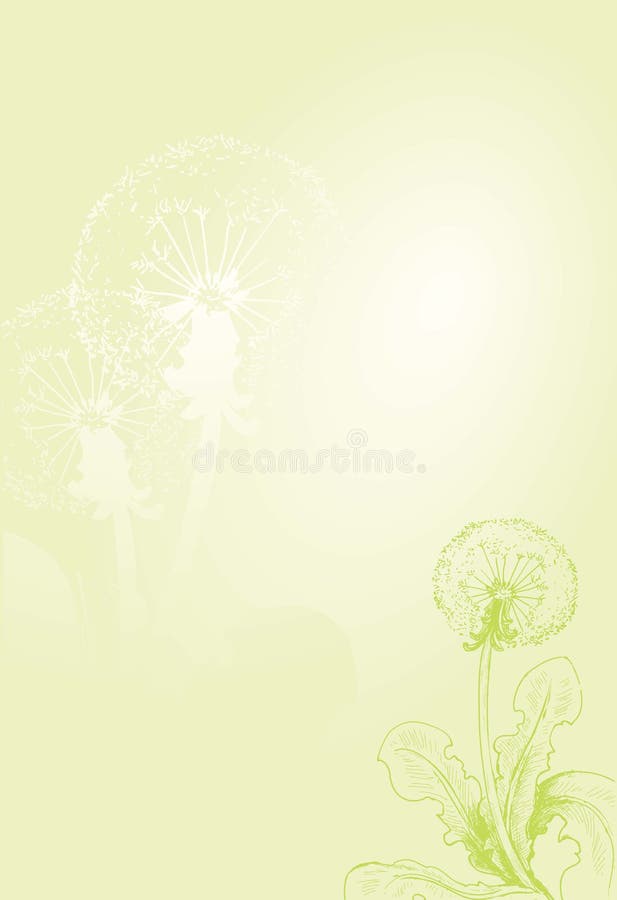 Dandelion. stock vector. Illustration of field, sketch - 61097388