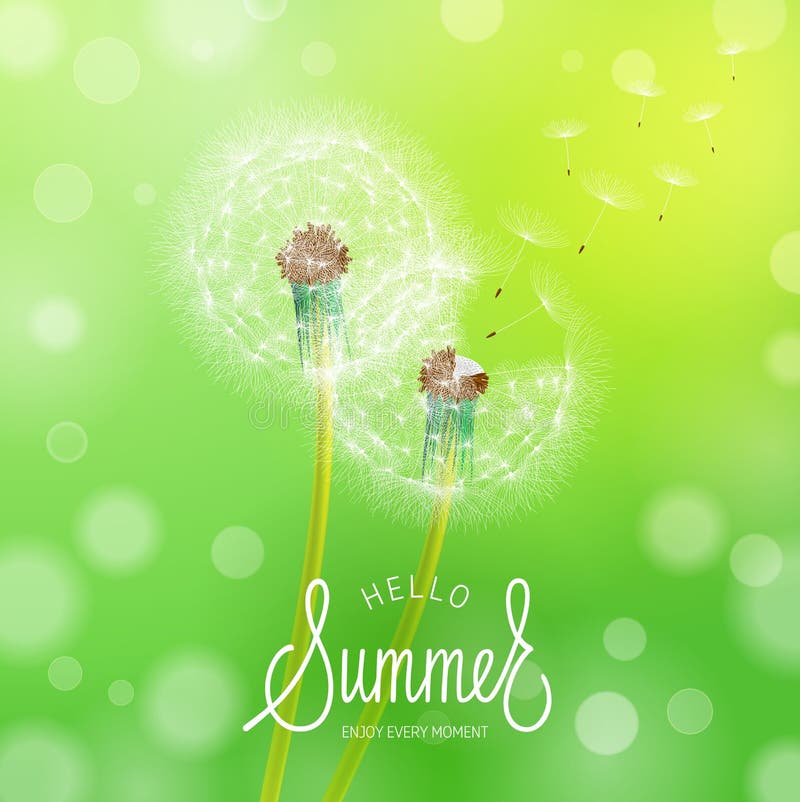 Dandelion Hello Summer Green Stock Vector - Illustration of blue ...