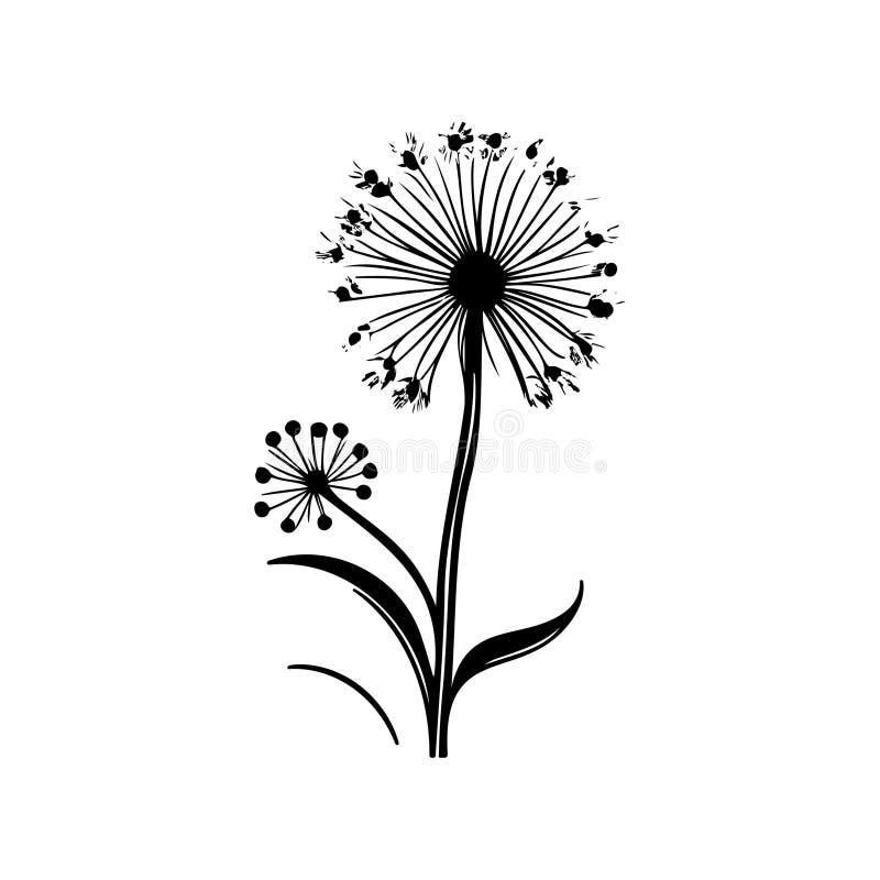 Dandelion Icon Hand Draw Black Colour Flower Logo Symbol Perfect Stock ...