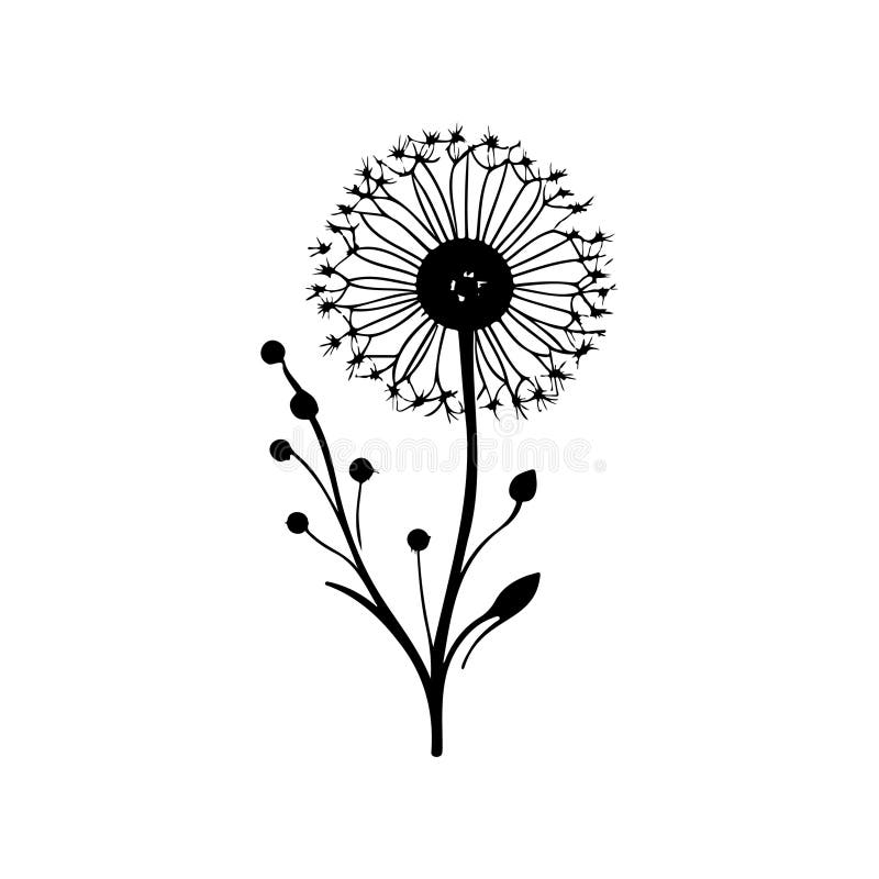 Dandelion Icon Hand Draw Black Colour Flower Logo Symbol Perfect Stock ...