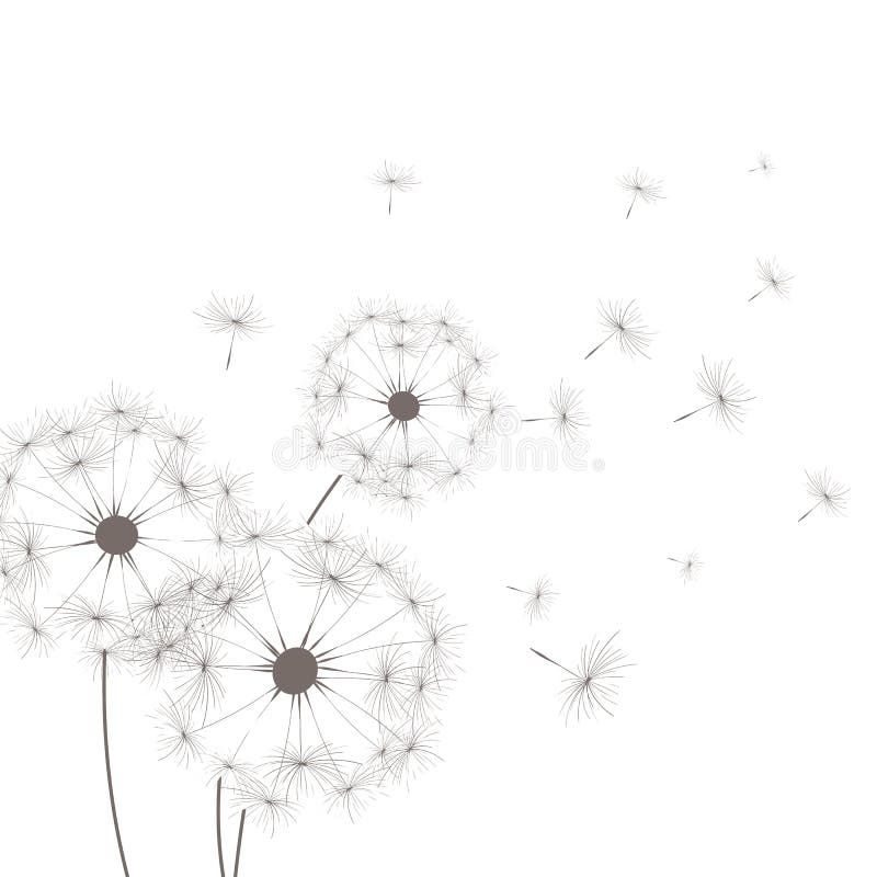 Dandelion Illustration Background Stock Vector - Illustration of ...
