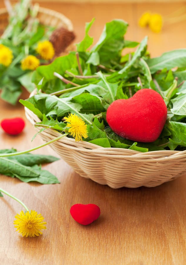 Dandelion leaves stock image. Image of rows, ingredient - 40399759