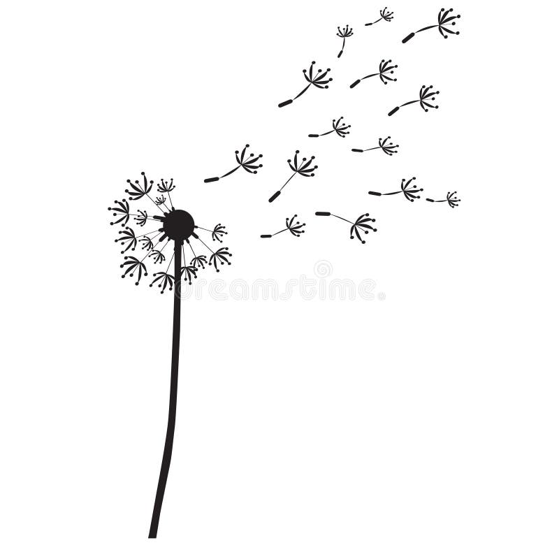 Dandelion Tattoo Design Illustrations