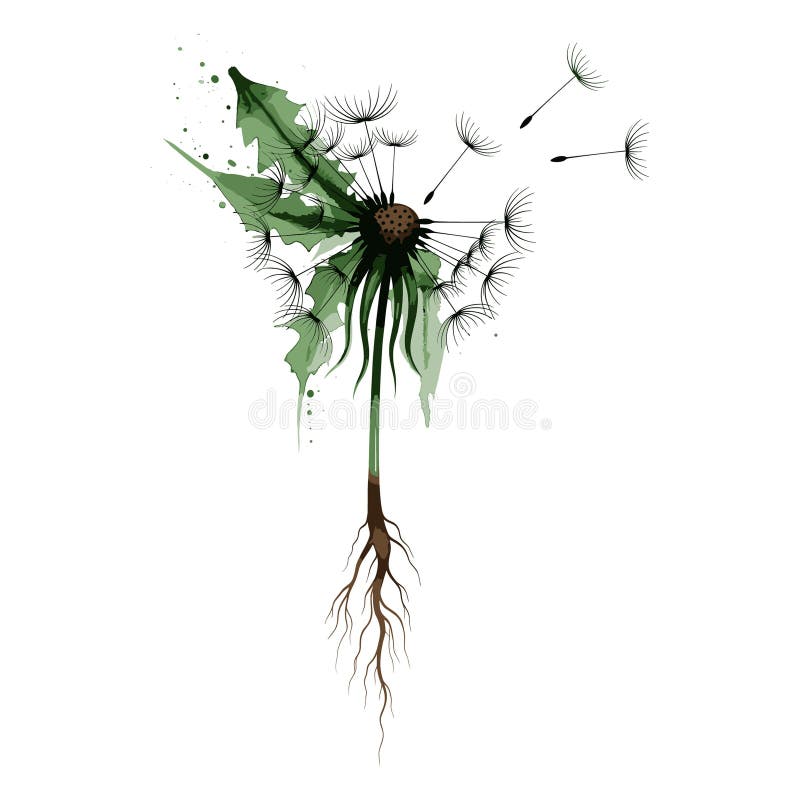 Png Flower Weed Watercolor Stem Stock Illustrations – 2 Png Flower Weed ...