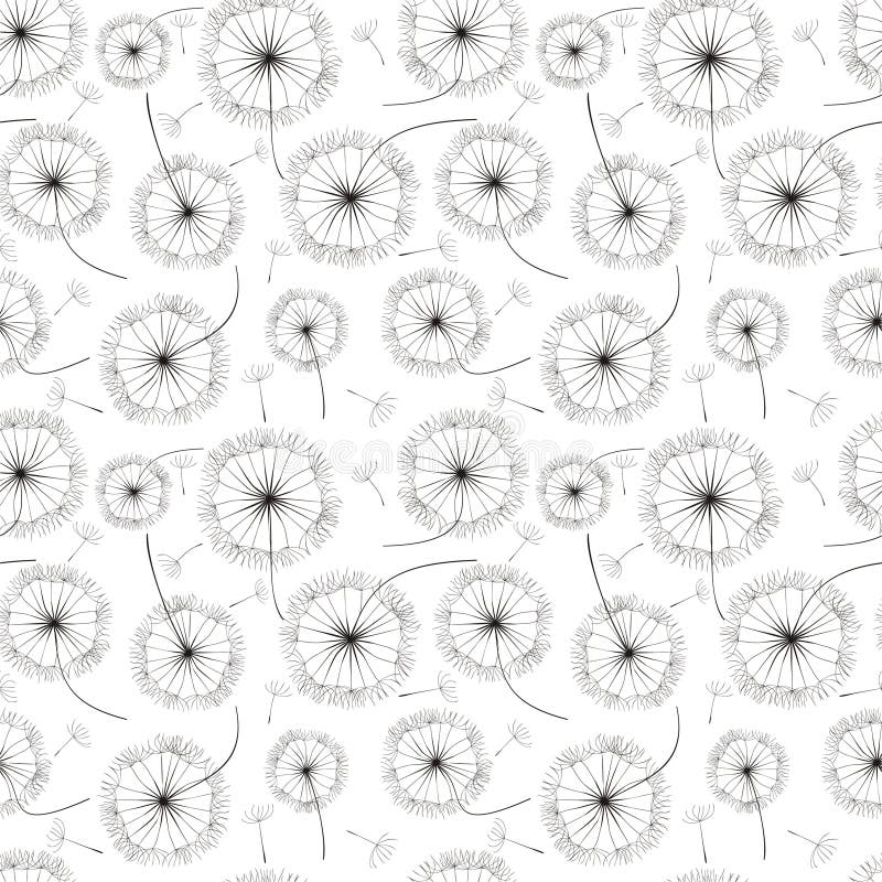 Dandelion seamless pattern stock vector. Illustration of decor - 21558300